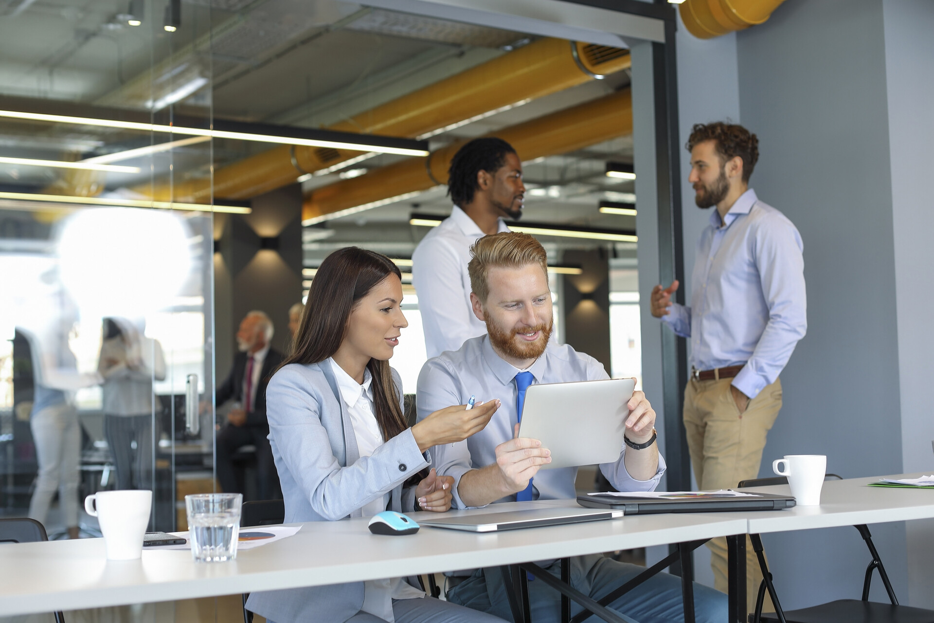 Roles & Opportunities